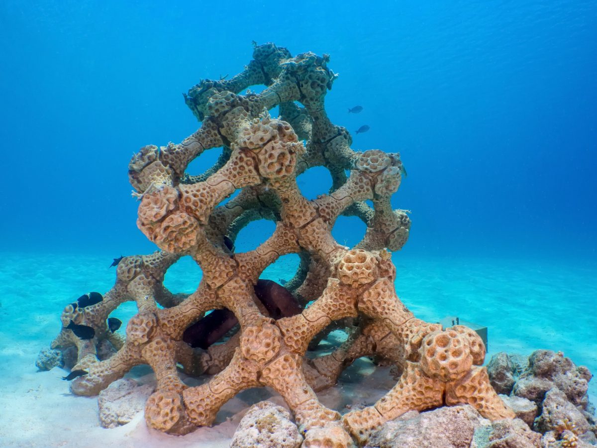 Guinness World Records Recognizes Summer Island Maldives’ 3-D Printed ...